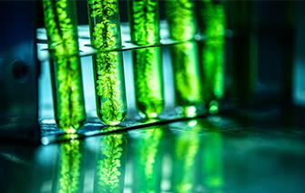 CEA Tech uk - Algae-based bioplastic by AlgX