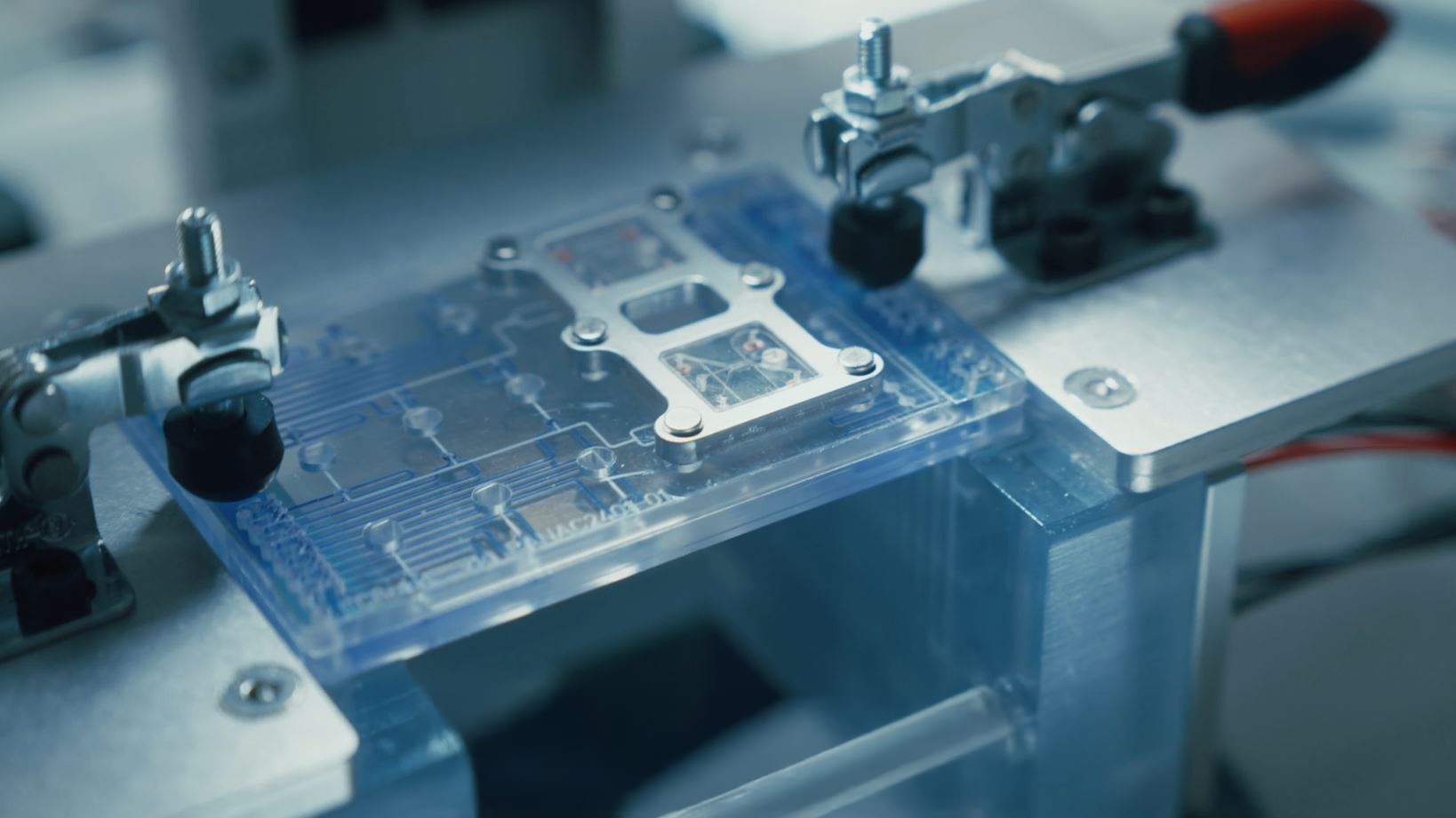 Leti (english) - CEA-Leti and CEA-Irig: Pioneering Organoids-on-Chip ...