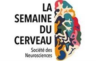 Fabrique de savoirs - Revivez la semaine du cerveau 2021 à NeuroSpin