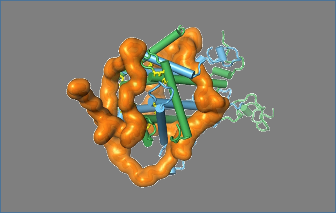 Fabrique de savoirs - Comment chaperonner sans trop de promiscuité