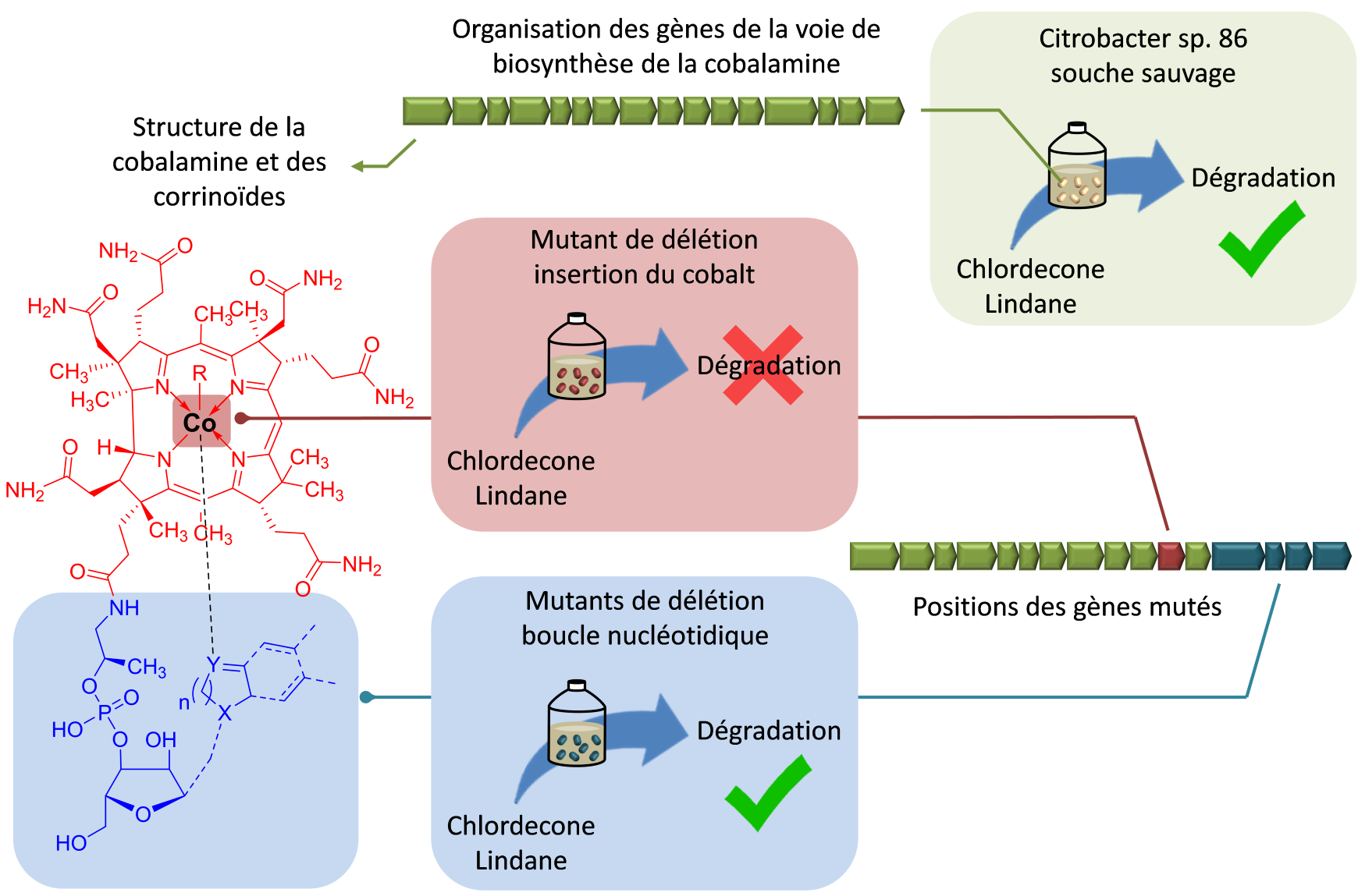 Institut de biologie François Jacob - Accueil
