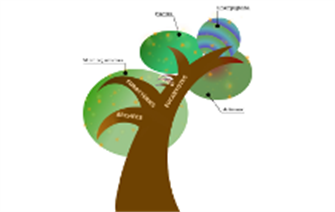 Institut de biologie François Jacob - Les projets du Genoscope