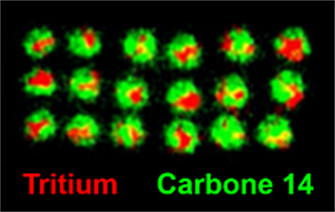 Frédéric Joliot Institute for Life Sciences - Dual labeling and digital ...
