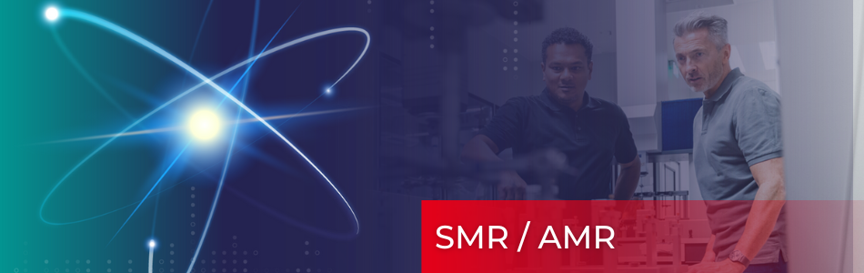 I-Tésé - Article thématique de recherche : SMR/AMR