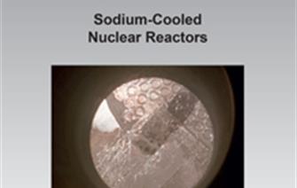 English Portal - Sodium-Cooled Nuclear Reactors