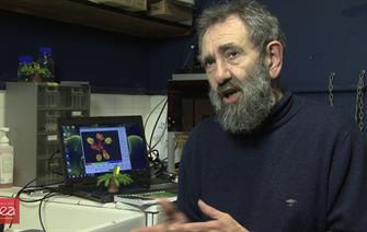 Médiathèque - Bruno Robert / Photosynthèse : un désordre très performant