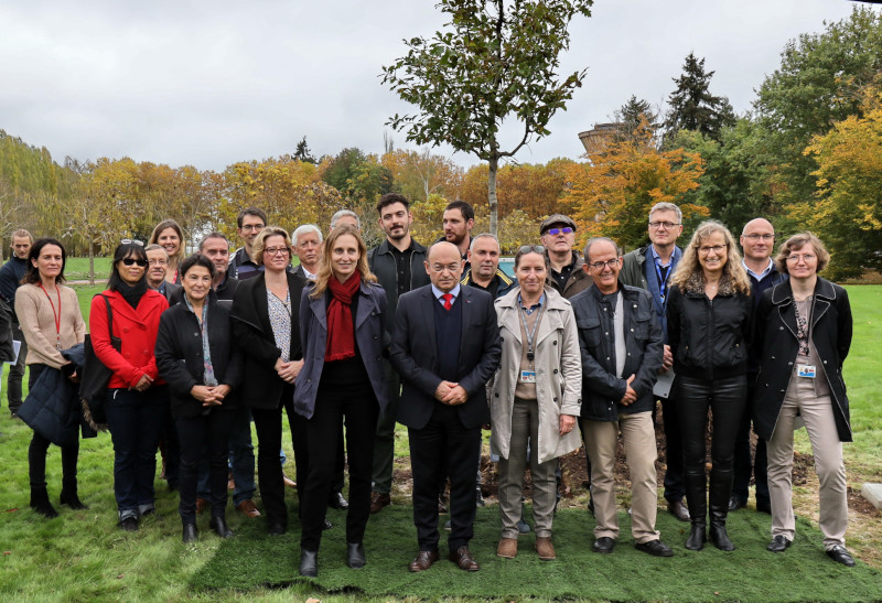 CEA PARIS-SACLAY - 70 arbres plantés pour renouveler le parc