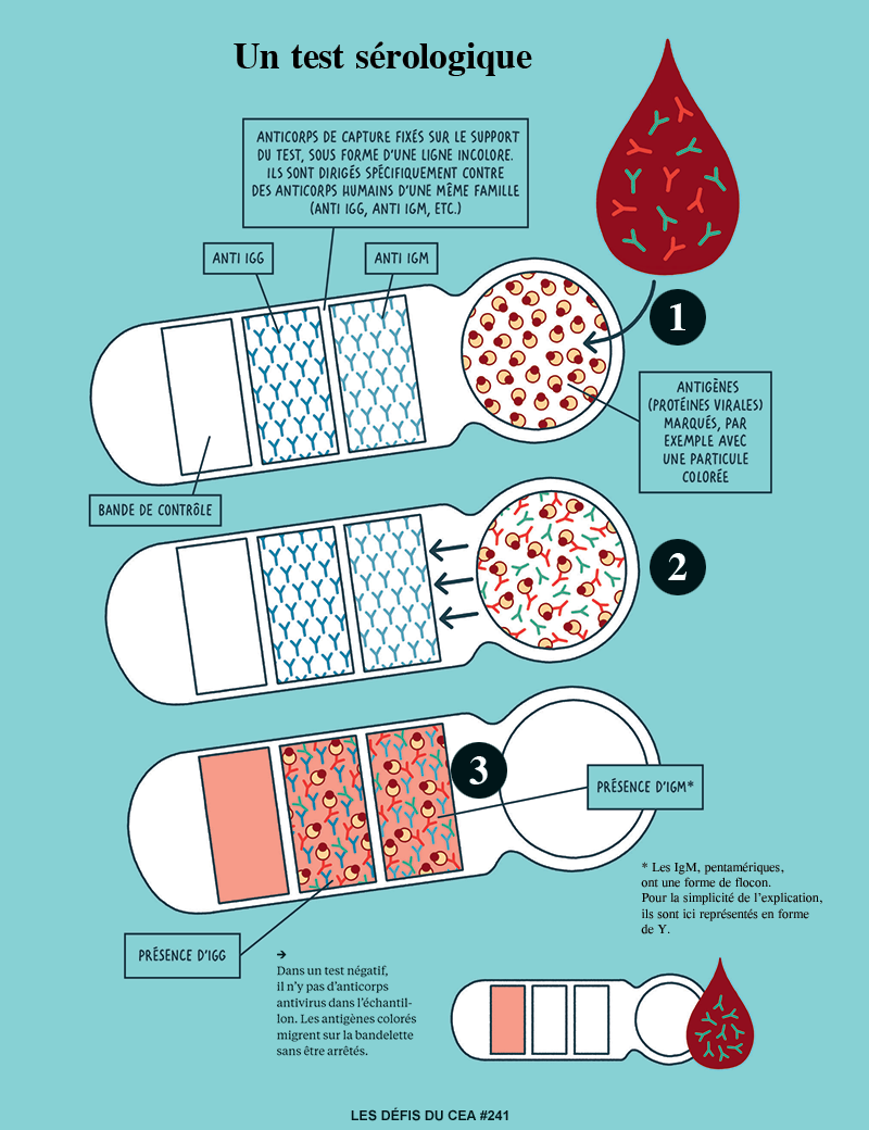 Presse & Médias - Tout s'explique : Les tests bandelettes